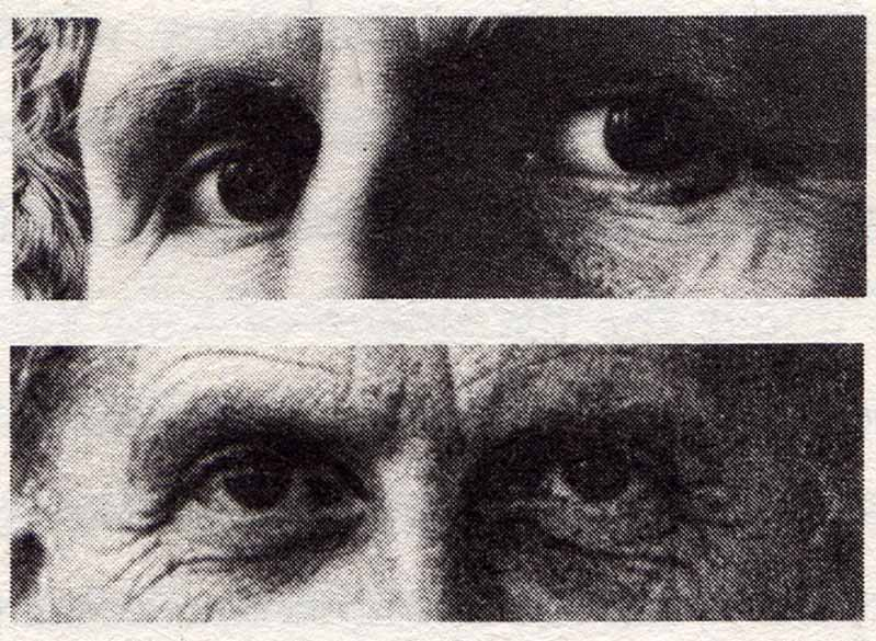 On the Philosopher’s Visage: The Eyes of Wittgenstein | Annette ...